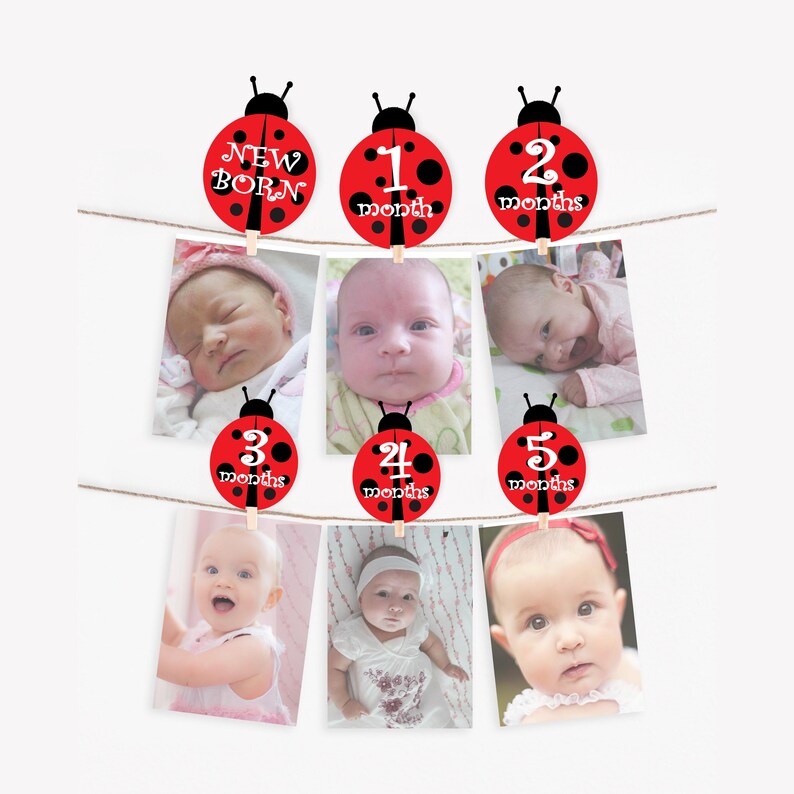Ladybug Monthly Photo Banner, Baby's First Year Picture Banner, Ladybug ...