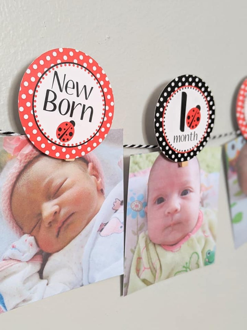 Ladybug Monthly Photo Banner Ladybug First Birthday Photo - Etsy