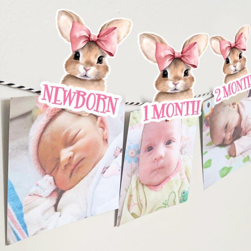 Bunny Bow Pictures - Etsy