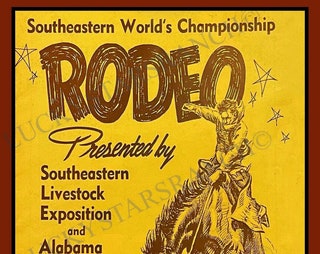 LuckyStarsRanchTX - Etsy