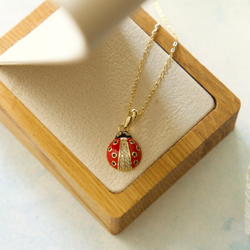 Ladybug Gifts - 60+ Gift Ideas for 2025