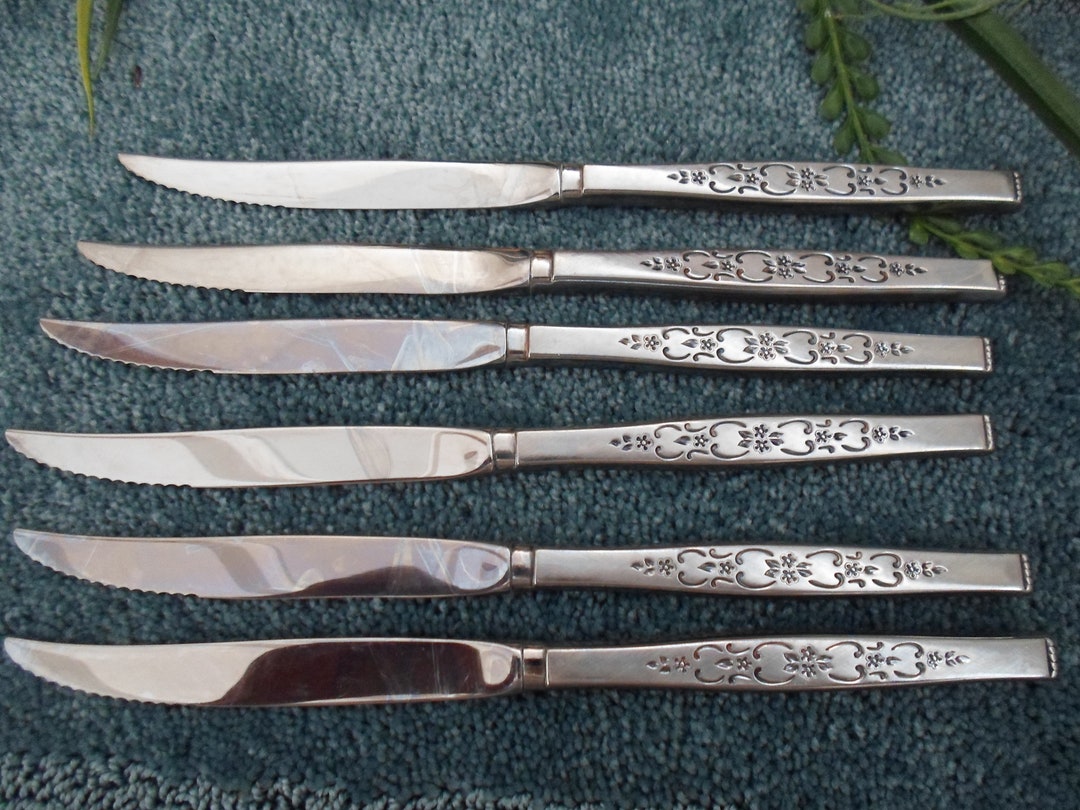 Vintage Usa SPANADA Oneida Rogers Premier Line USA 18/8 Stainless Six ...