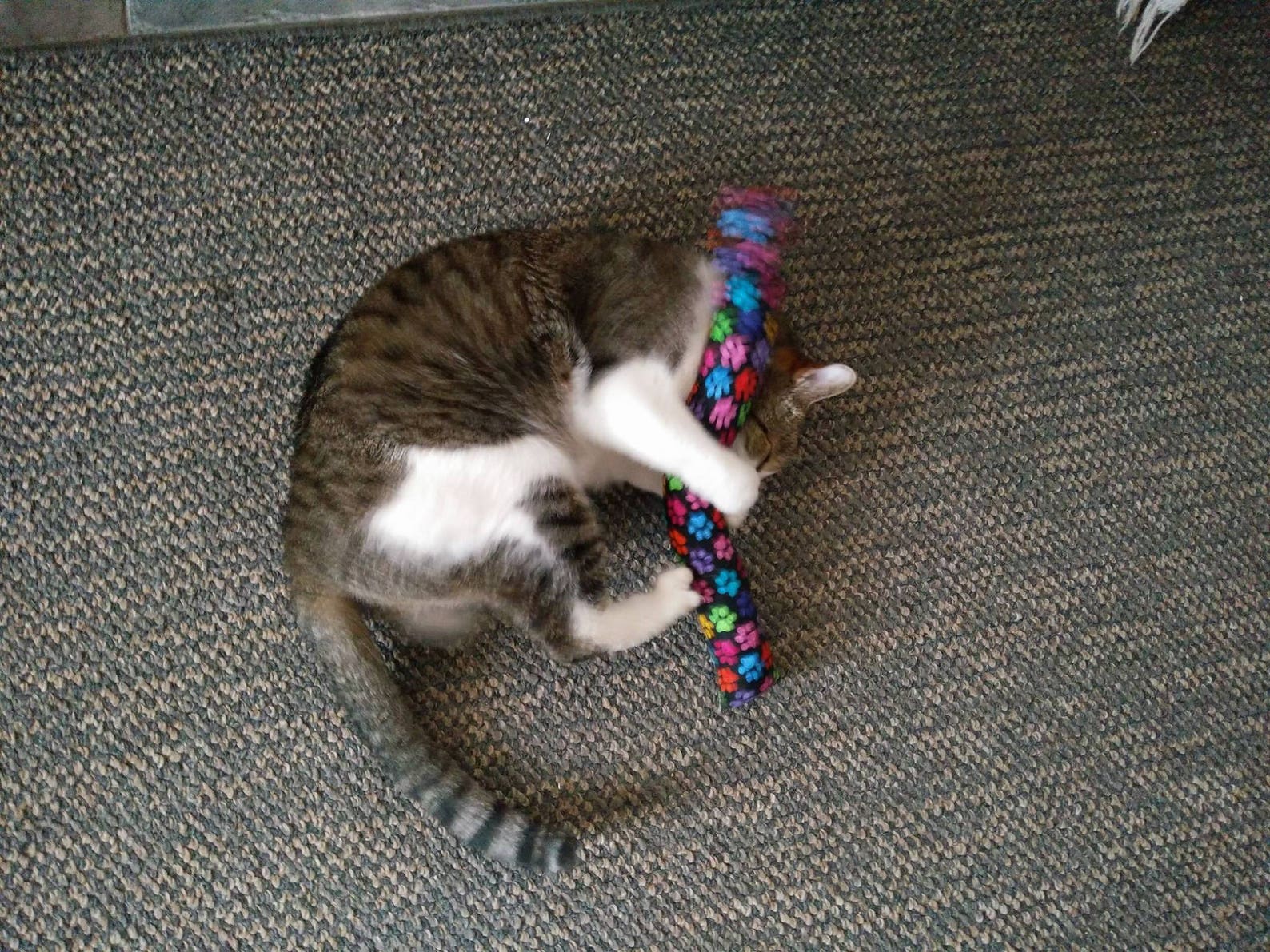 15 Catnip Kitty Kick Stix Kicker Set Of 3 Etsy