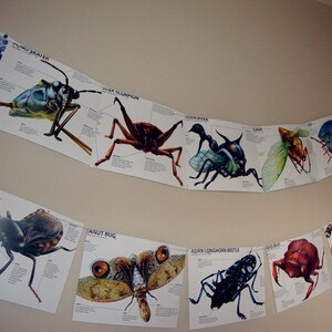 BUGS Banner,bunting Banner,birthday Banner,baby Shower Banner, Party ...