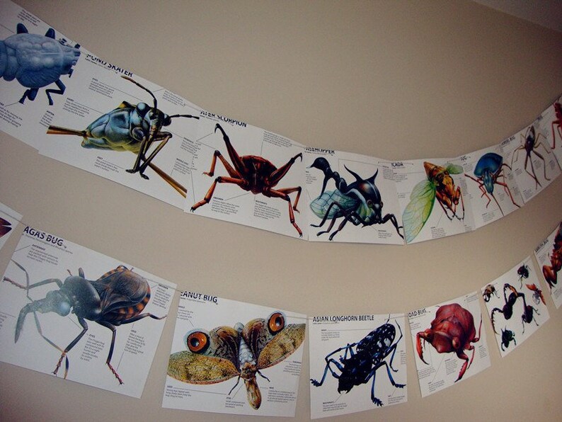 BUGS Bannerbunting Bannerbirthday Bannerbaby Shower Banner | Etsy