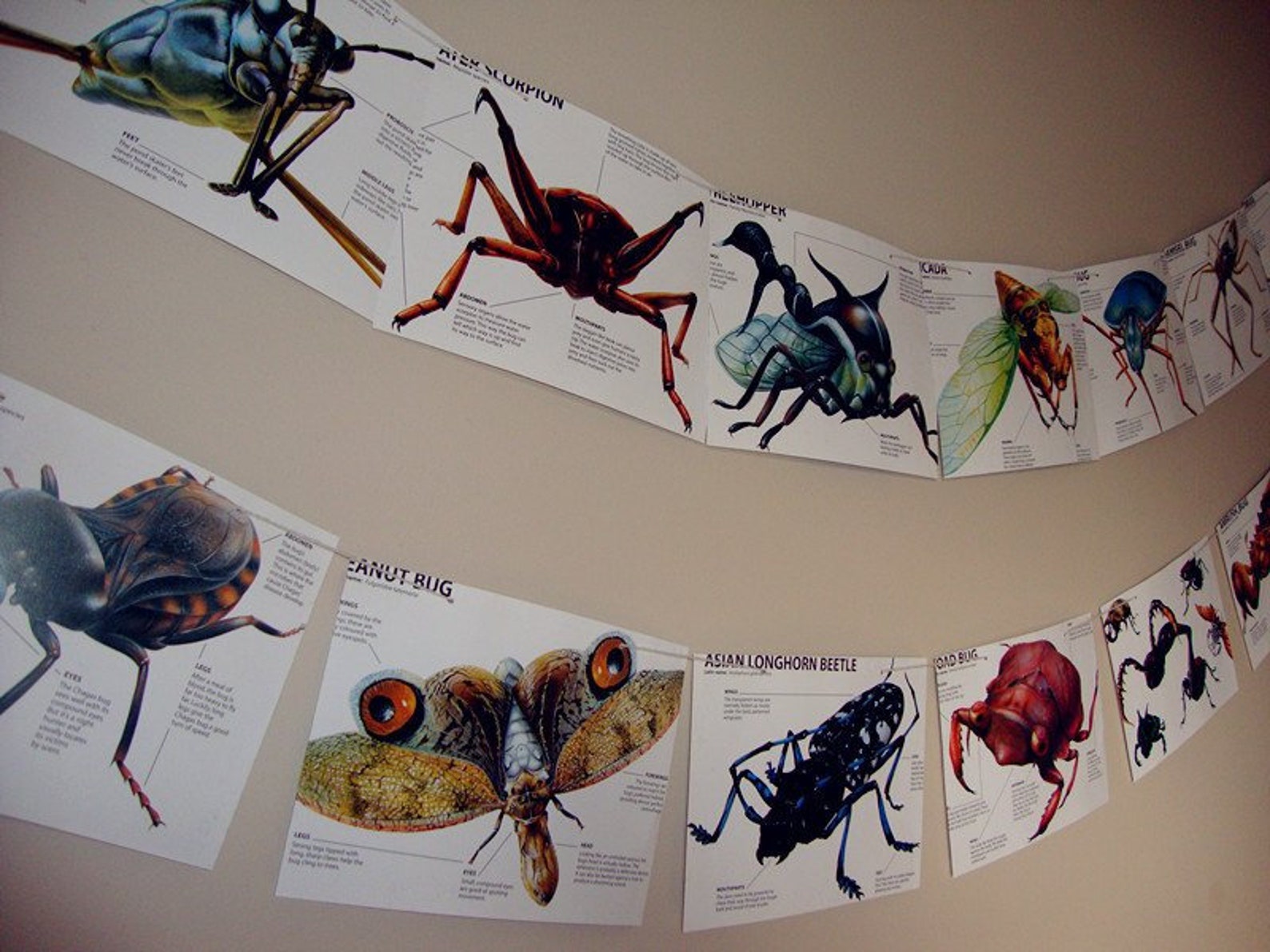 BUGS Bannerbunting Bannerbirthday Bannerbaby Shower Banner | Etsy