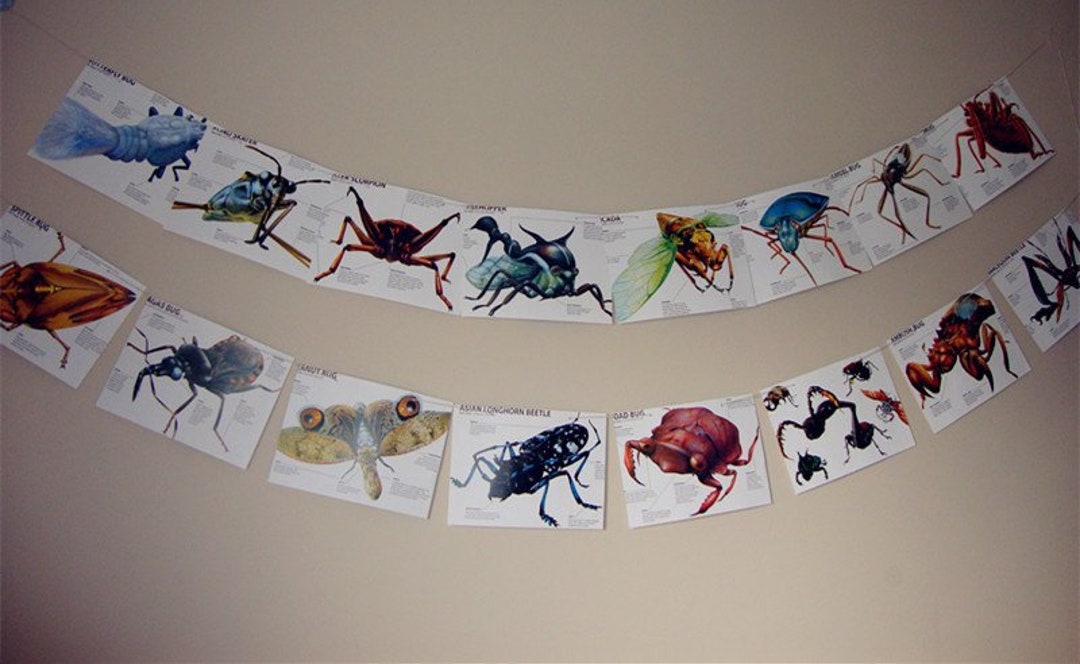 BUGS Banner,bunting Banner,birthday Banner,baby Shower Banner, Party ...