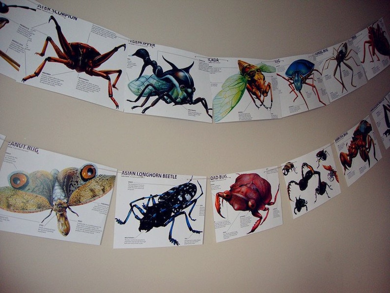 BUGS Bannerbunting Bannerbirthday Bannerbaby Shower Banner - Etsy