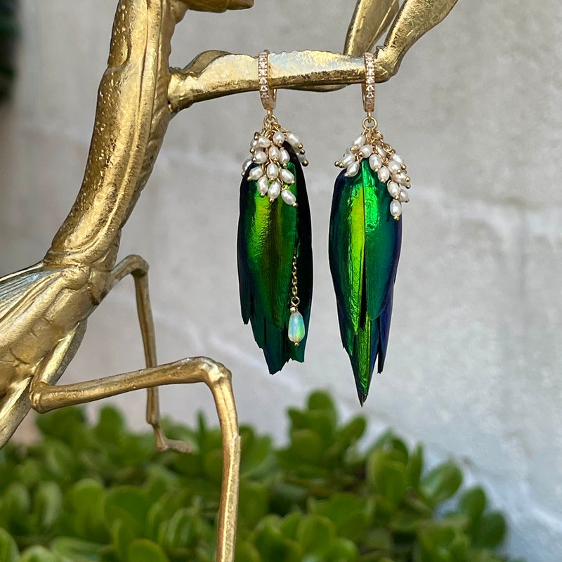 Beetle Earrings - Etsy