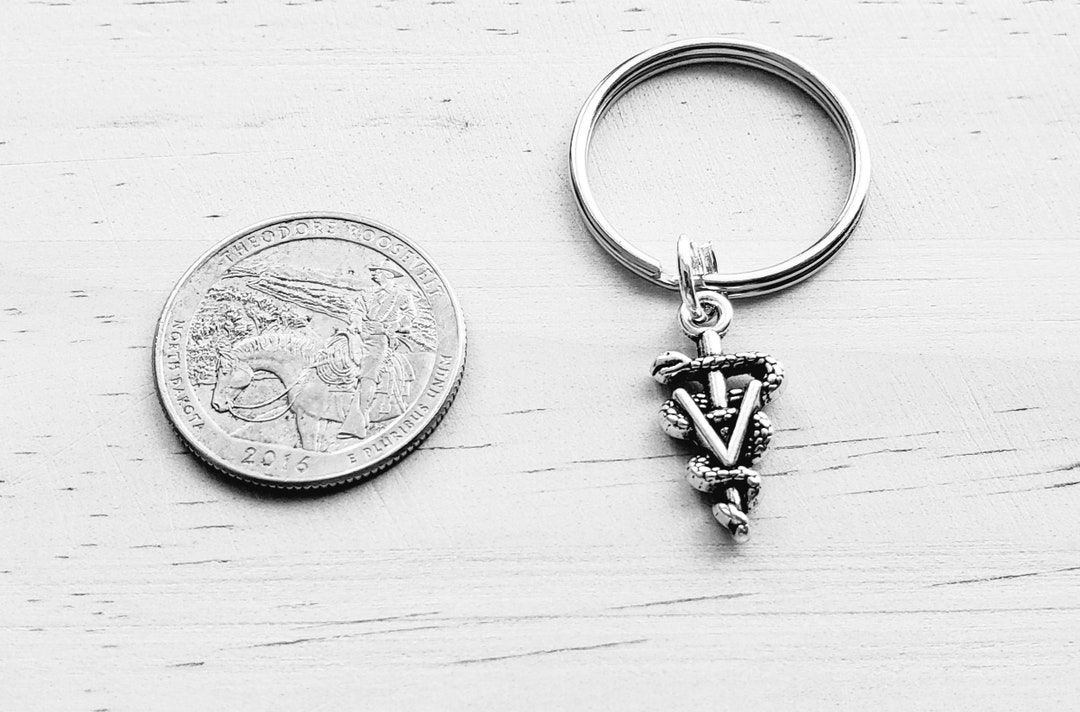 Vet Veterinarian keychain Vet keychain Veterinary Key - Etsy.de