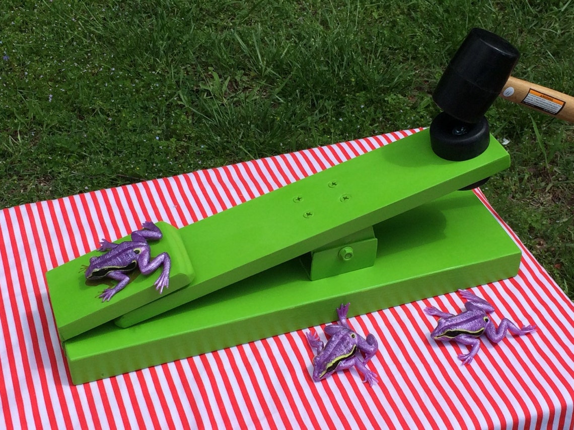 Frog Flinger Carnival Game, School Party Entertainment - Etsy