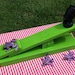 Frog Flinger Carnival Game. Perfect for Trade Show Rental Birthday ...