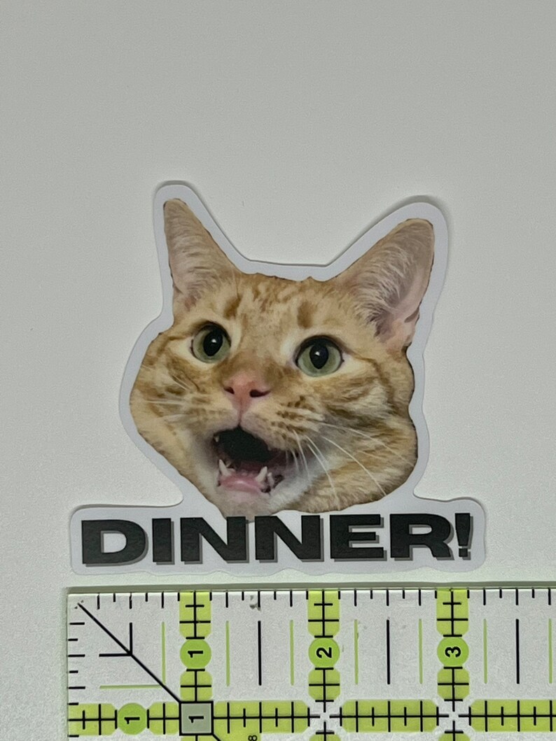 Hungry Cat Sticker / Ginger Cat / Orange Cat Sticker / - Etsy