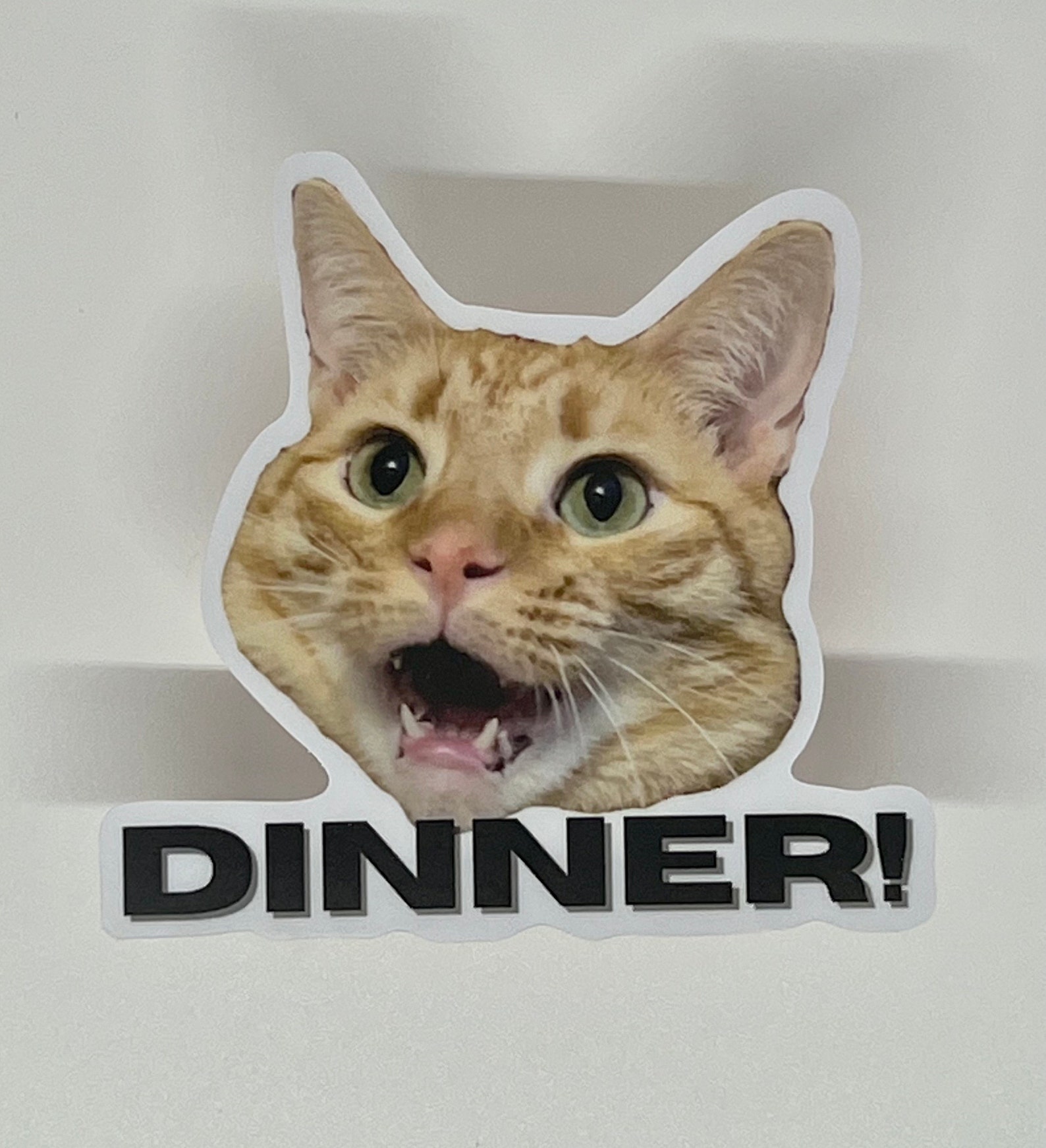 Hungry Cat Sticker / Ginger Cat / Orange Cat Sticker / Waterproof and ...