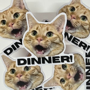 Hungry Cat Sticker / Ginger Cat / Orange Cat Sticker / Waterproof and ...