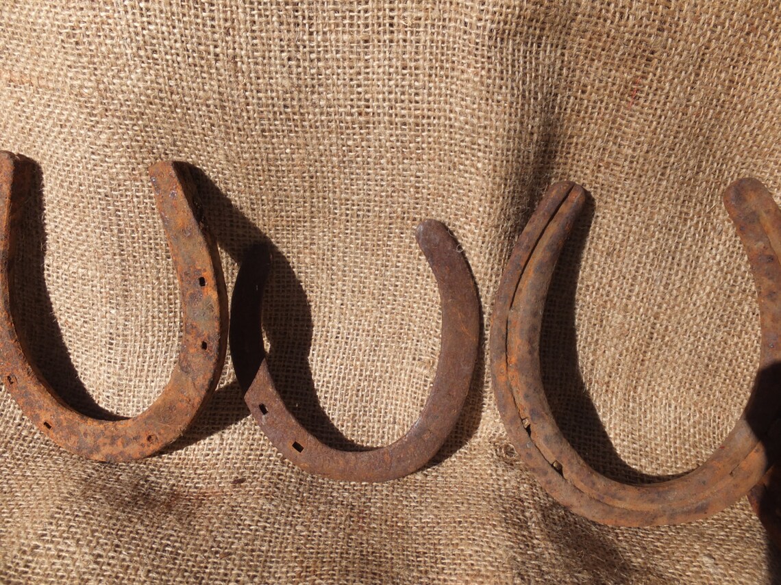 Rusty Horseshoes, Rusty Horse Shoes, 5 Rusty Horse Shoes - Yard Art or ...