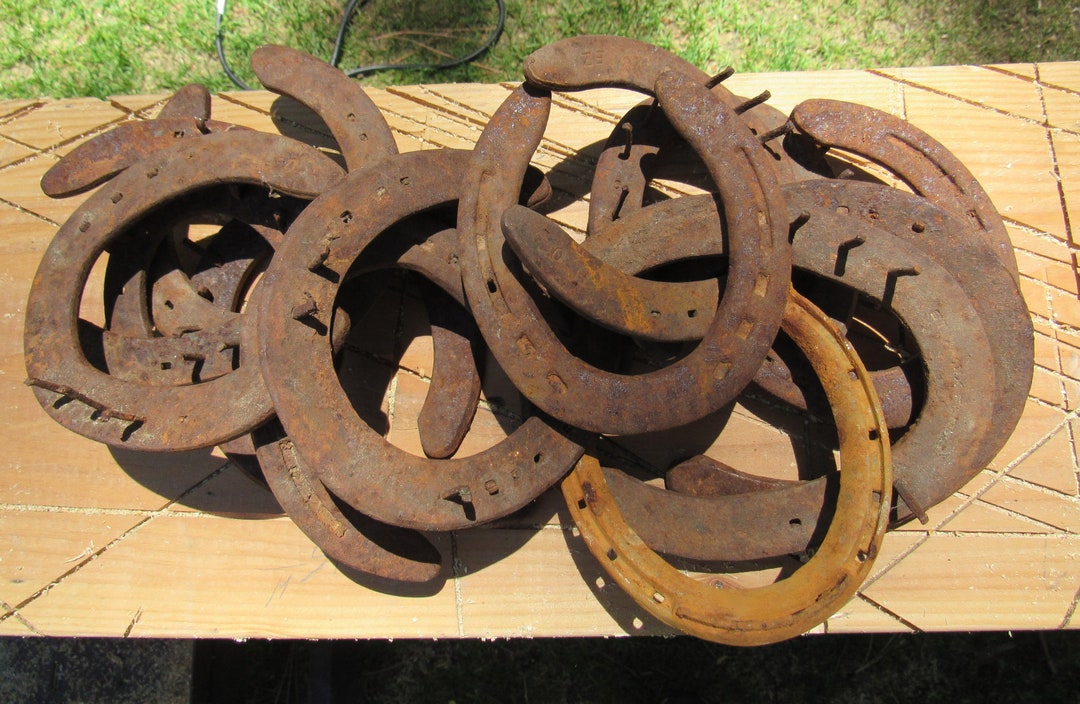 Rusty Horseshoes, Rusty Horse Shoes, 5 Rusty Horse Shoes - Yard Art or ...