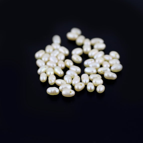 Tiny Creme Color Freshwater Rice Pearls 3x5mm 24pcs | Etsy