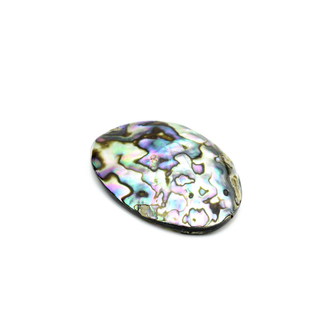 Large Genuine Abalone Shell 35x45mm 1pc - Etsy