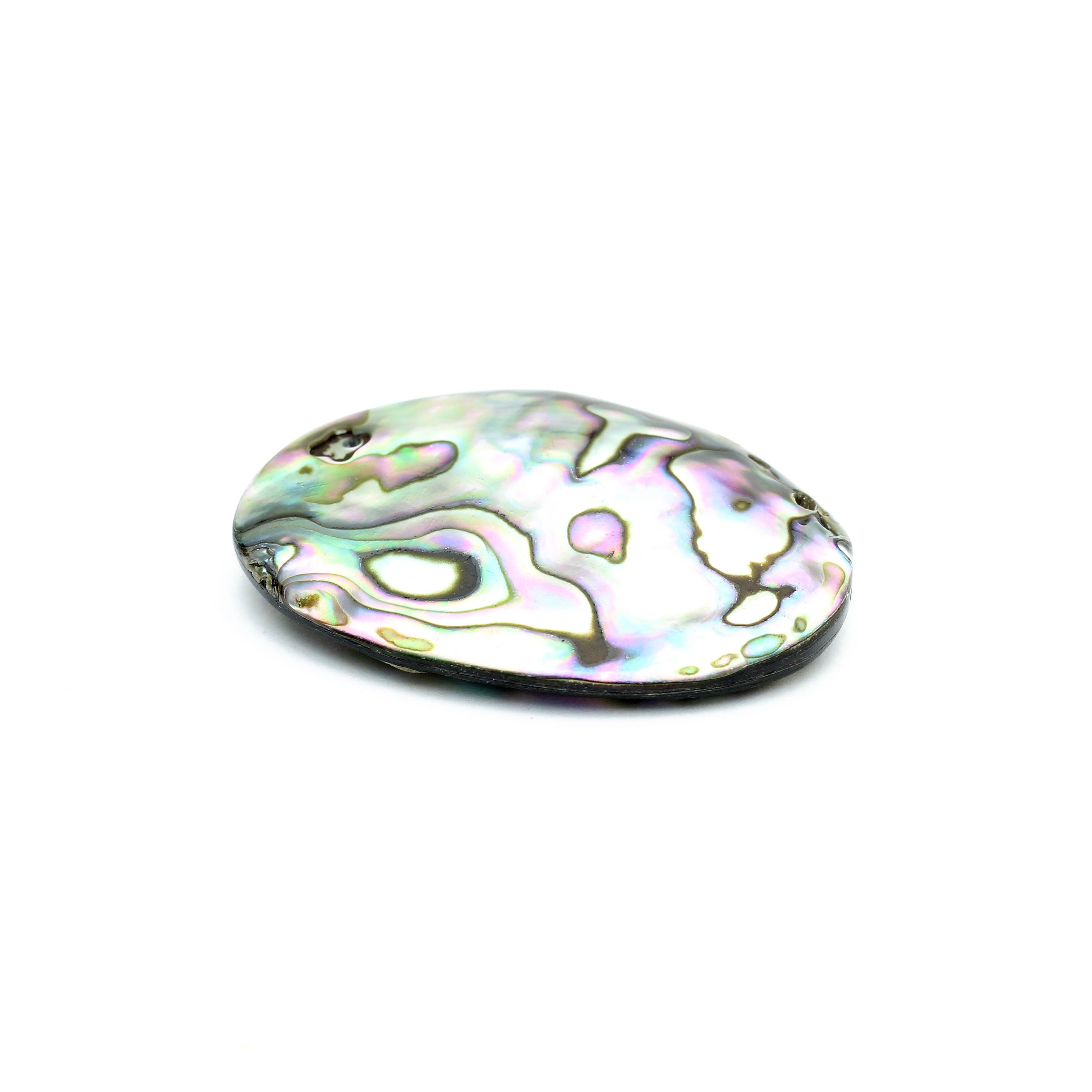 Large Genuine Abalone Shell 35x45mm 1pc | Etsy