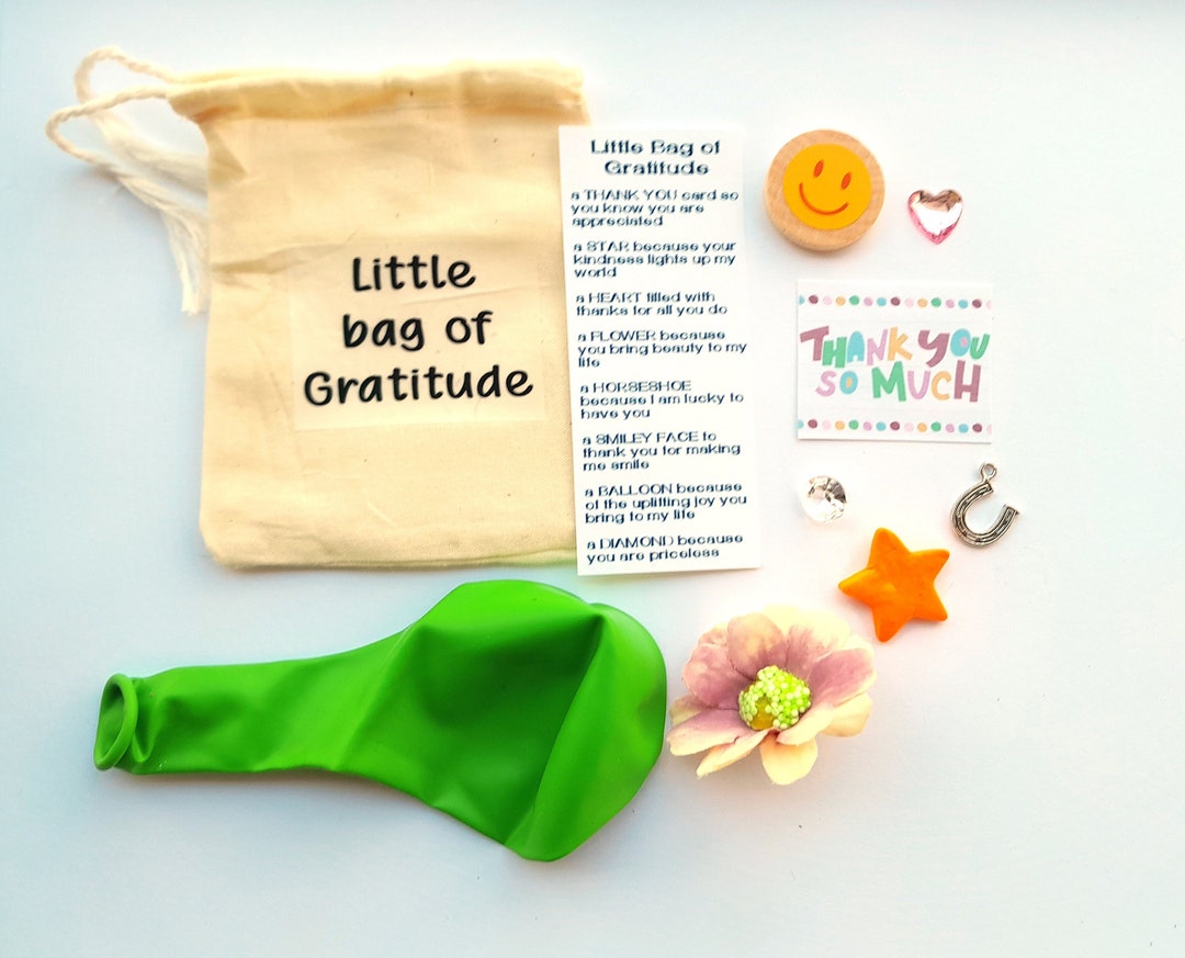 Thank You Gift Bag, Small Thank You Gift for Friend, Little Bag of ...