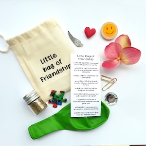 Little Bag of Friendship, Small Gift, BFF Gift, Bestie, Party Favor ...