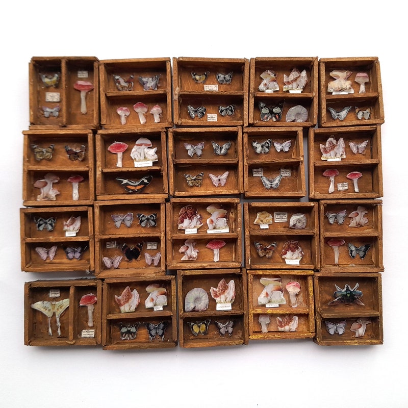 Shadowbox Miniatures - Etsy