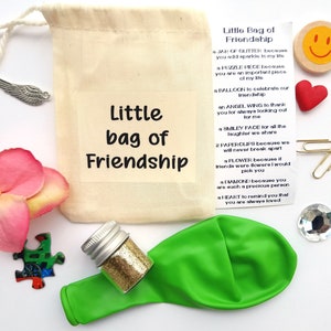 Little Bag of Friendship, Small Gift, BFF Gift, Bestie, Party Favor ...