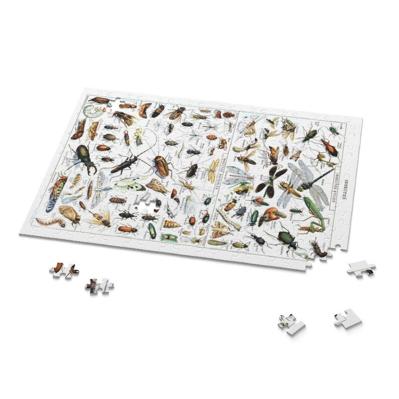Puzzle for Adults Insect Chart Bug Insectes Vintage - Etsy