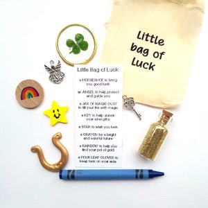 Little Bag of Luck, Good Luck Gift, Lucky Charm, Four Leaf Clover ...