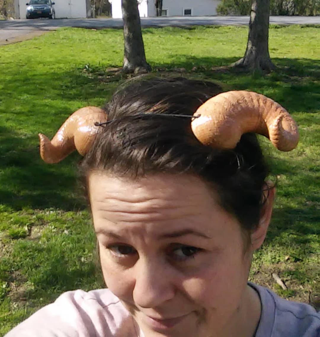 Ram Horn Headband: Custom Color Costume Horns - Etsy