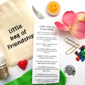 Little Bag of Friendship, Small Gift, BFF Gift, Bestie, Party Favor ...
