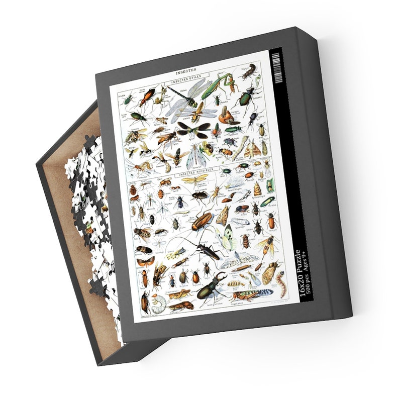 Puzzle for Adults Insect Chart Bug Insectes Vintage - Etsy