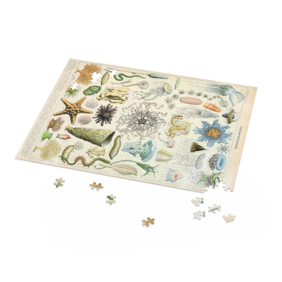 Puzzle for Adults Ocean Sea Life Artwork Oceonographie - Etsy