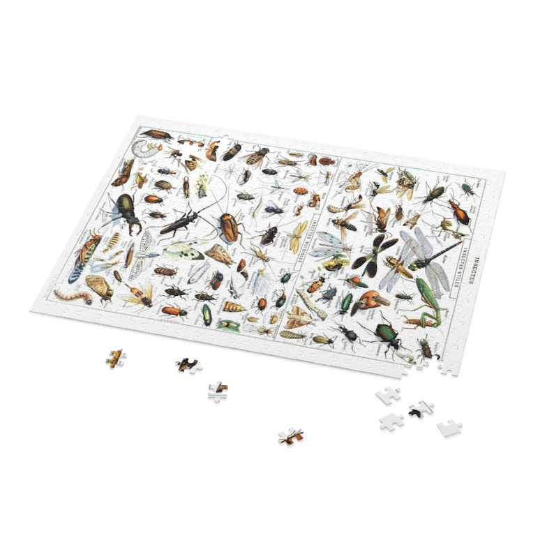Puzzle for Adults Insect Chart Bug Insectes Vintage - Etsy