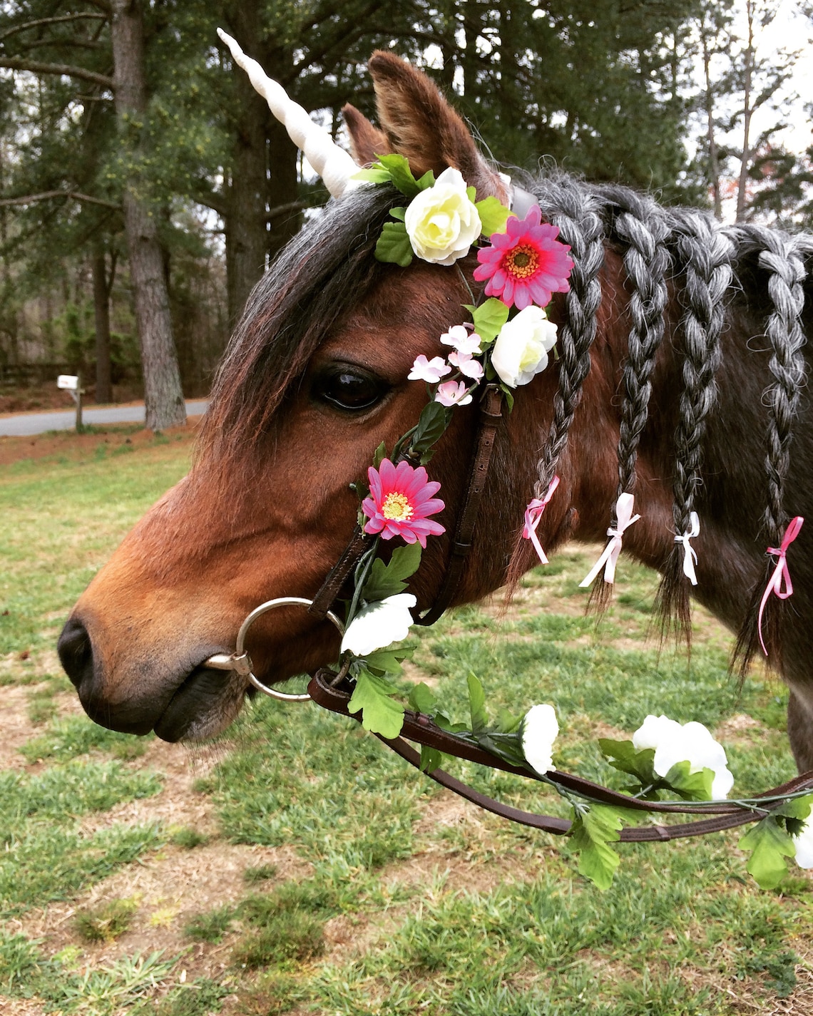 Unicorn Horn for Horse Unicorn Horn Horse Variety of Sizes | Etsy