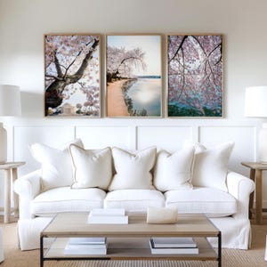 Washington DC Photography, Set of 3, Cherry Blossoms Print Set With ...