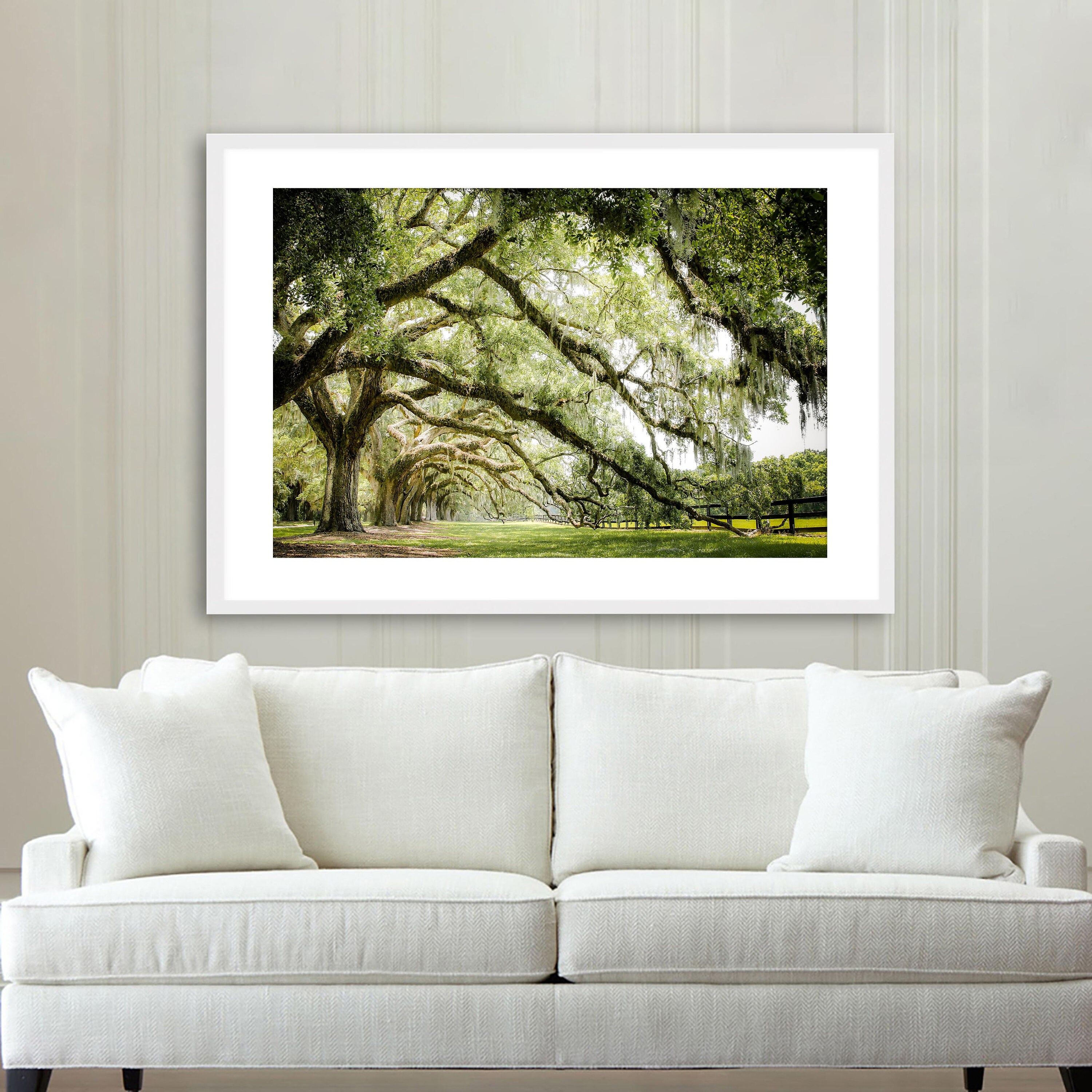 Live Oak Tree Photography Unframed Print Charleston Wall | Etsy
