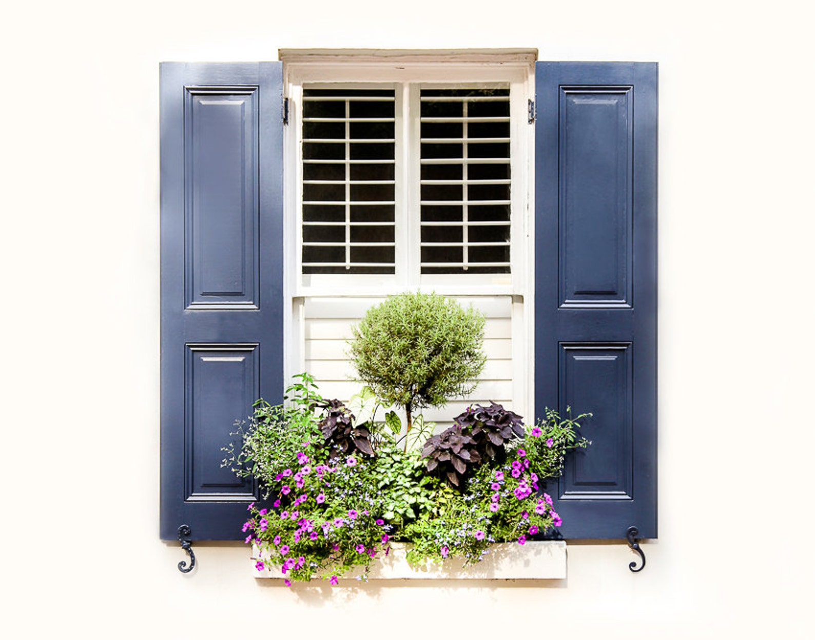Charleston Art Windows of Charleston Photography Unframed - Etsy