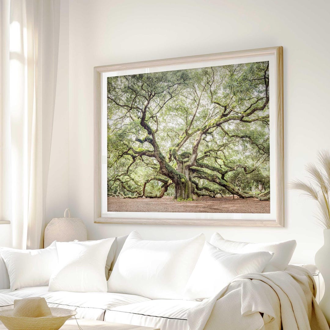 Charleston Art, Angel Oak Print Tree Wall Art Oak Tree Decor Green ...