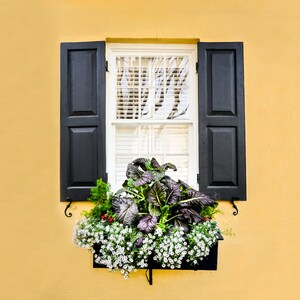 Charleston Art, Window Photography Unframed, Yellow Window Box Print ...
