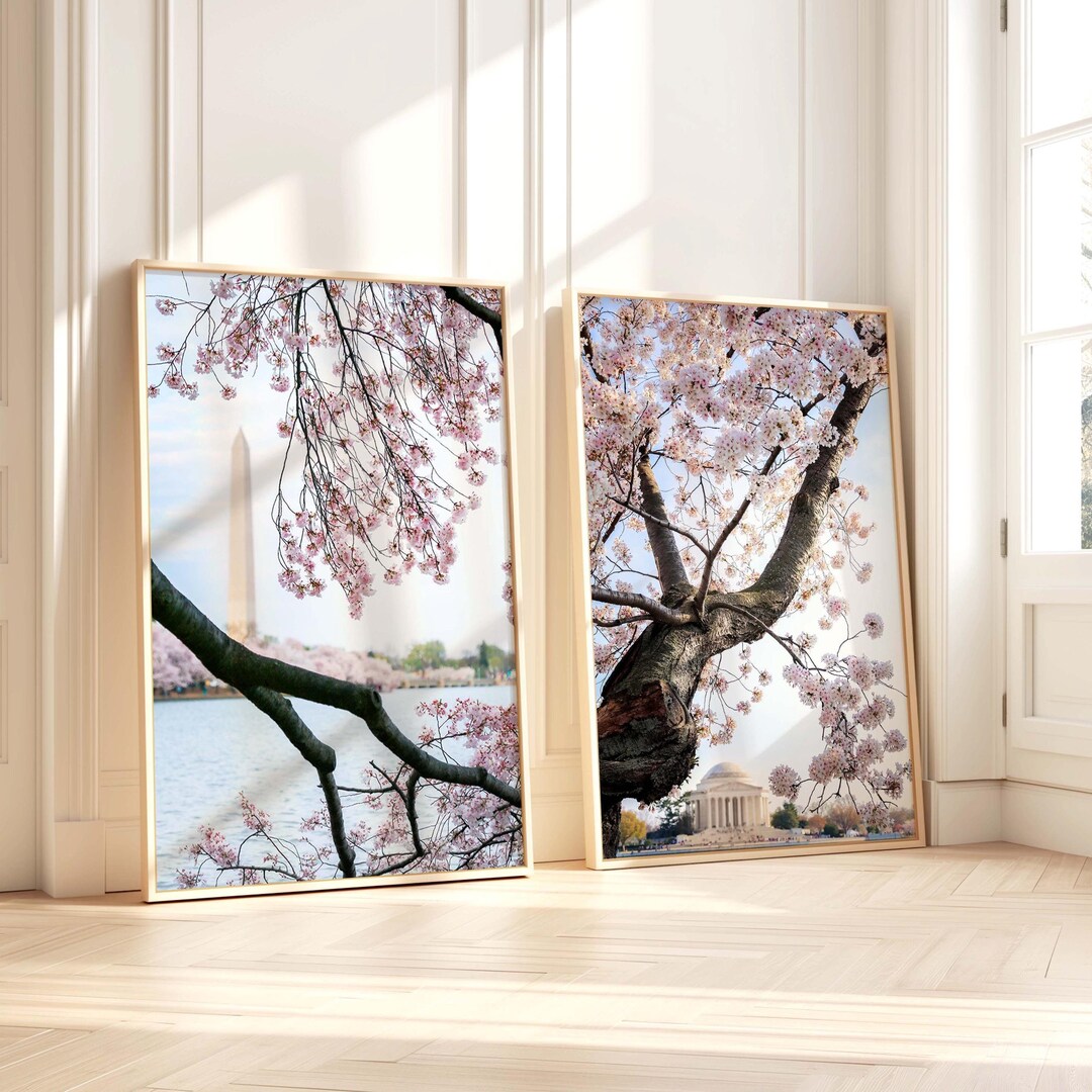 Washington DC Art, Set of 2 Cherry Blossoms DC Photography DC Print Set ...