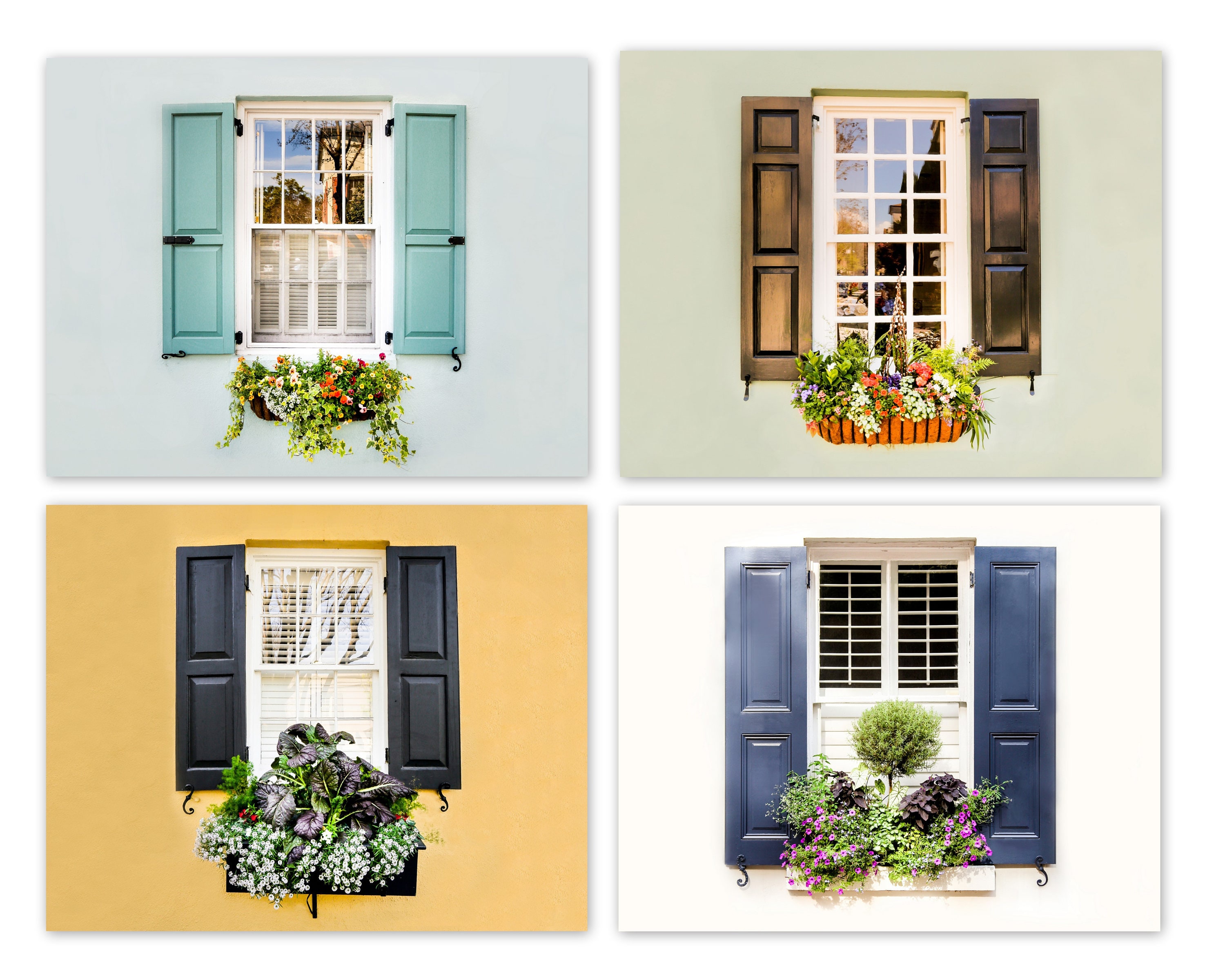 Charleston Window Charleston Art Charleston Photography - Etsy