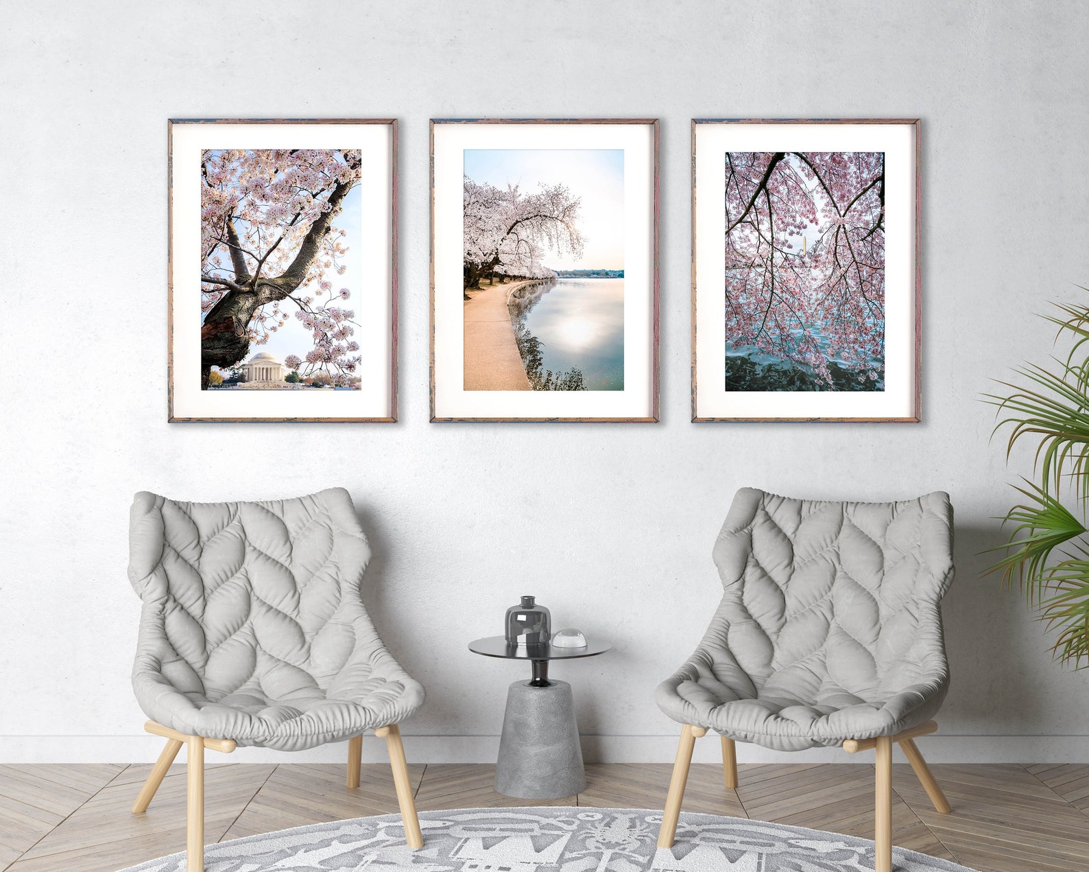 Washington DC Photography Set of 3 Cherry Blossoms Print Set - Etsy