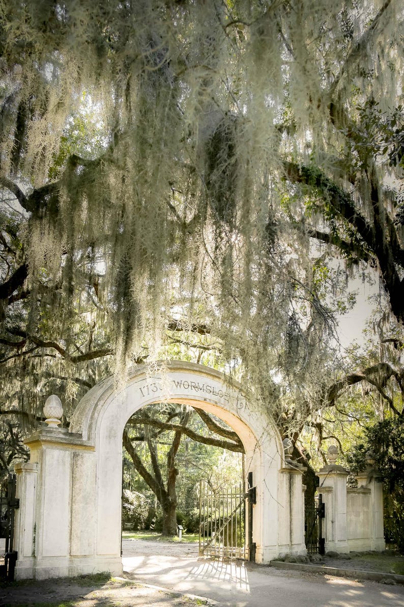 Savannah Wall Art, Print Set of 2, Georgia Photography - Unframed ...