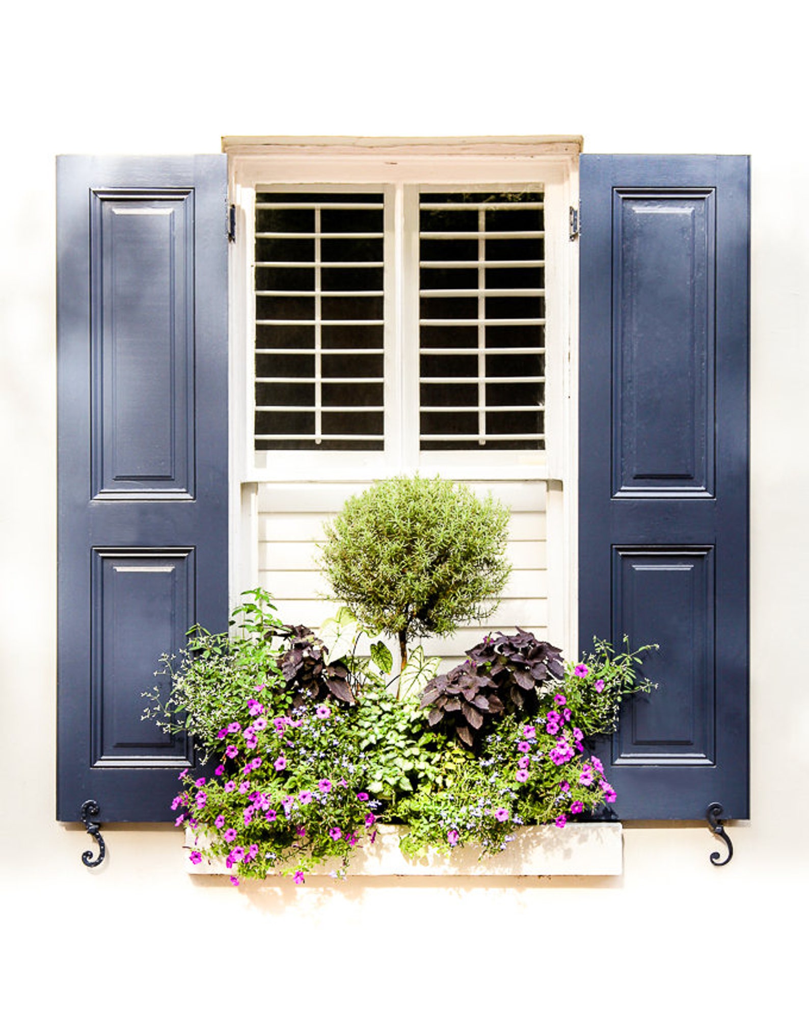 Charleston, Art, Set of 4, Charleston Windows, Window Photography ...