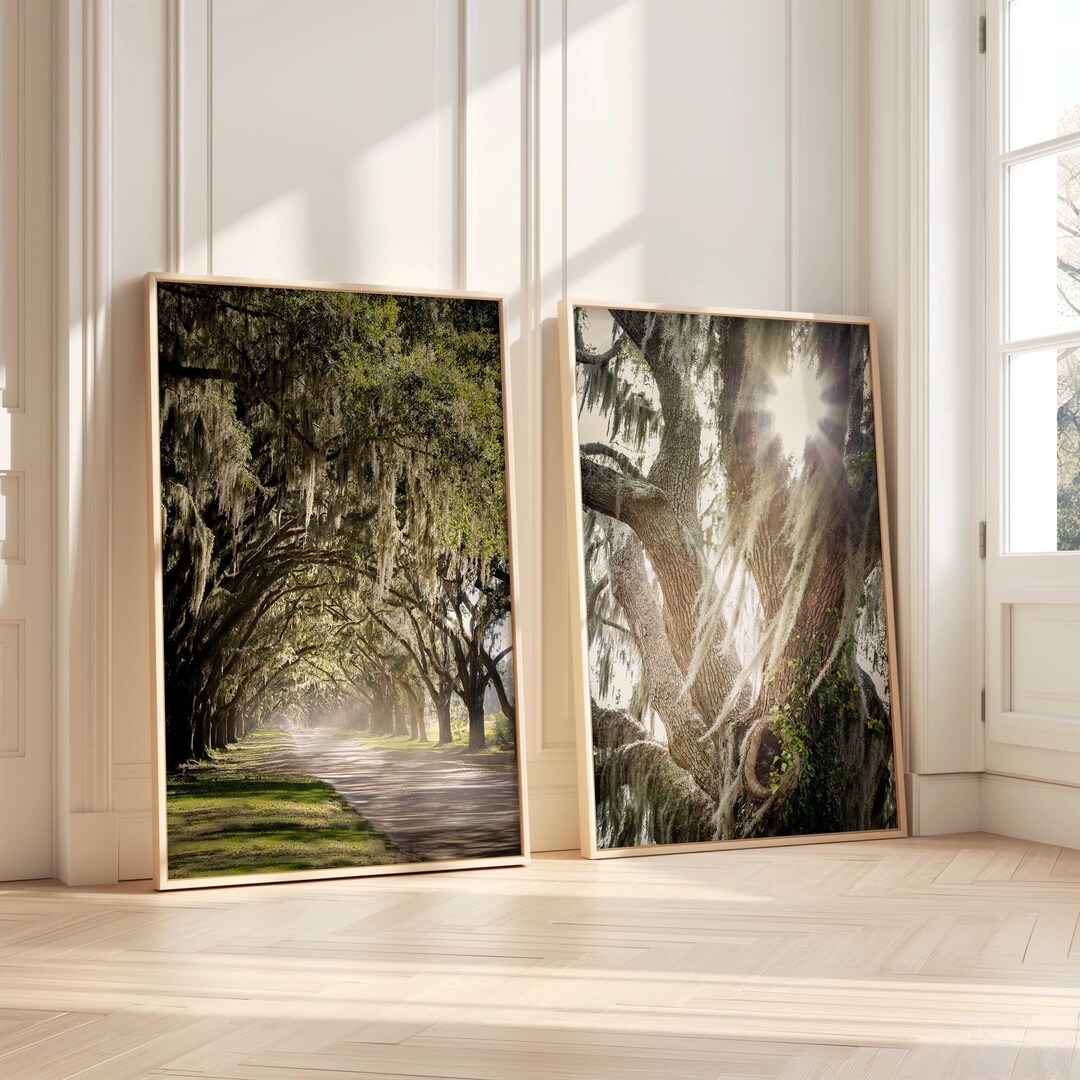 Savannah Wall Art, Print Set of 2, Georgia Photography - Unframed ...