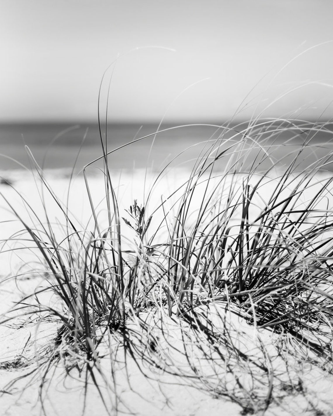 Coastal Wall Art Print Set of 4 Black and White Photography | Etsy