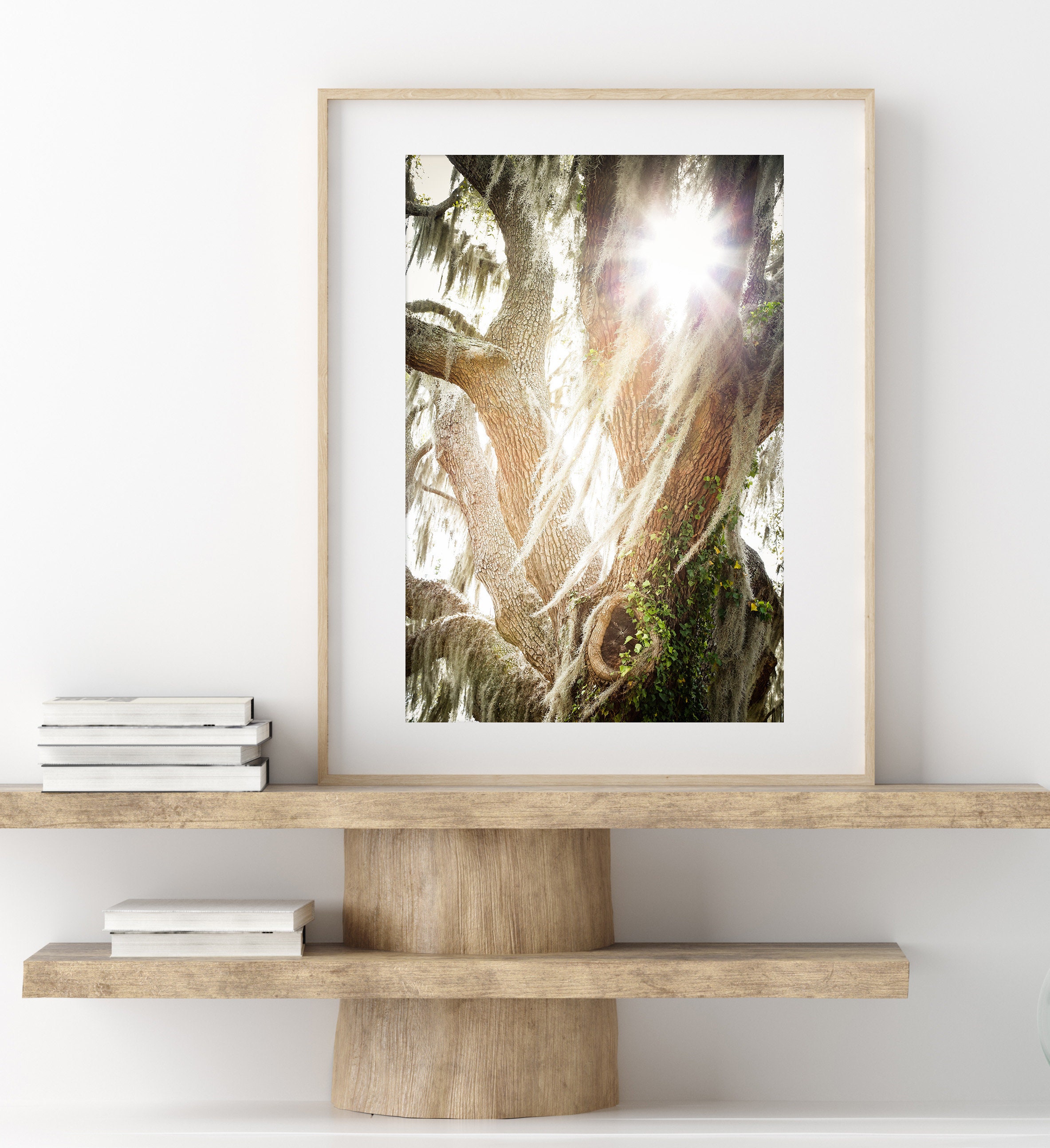 Live Oak Tree Print Tree Photography Unframed Low | Etsy