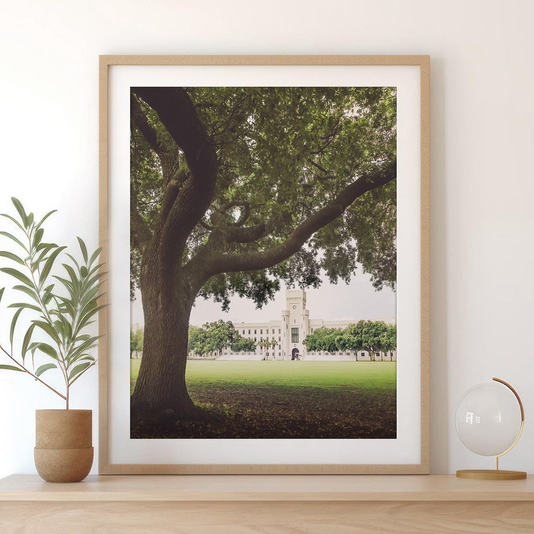 The Citadel Print, Charleston Photography the Citadel Art SC Military ...